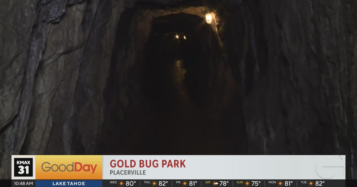 Riehl Adventures goes underground at Gold Bug Park! - Good Day Sacramento