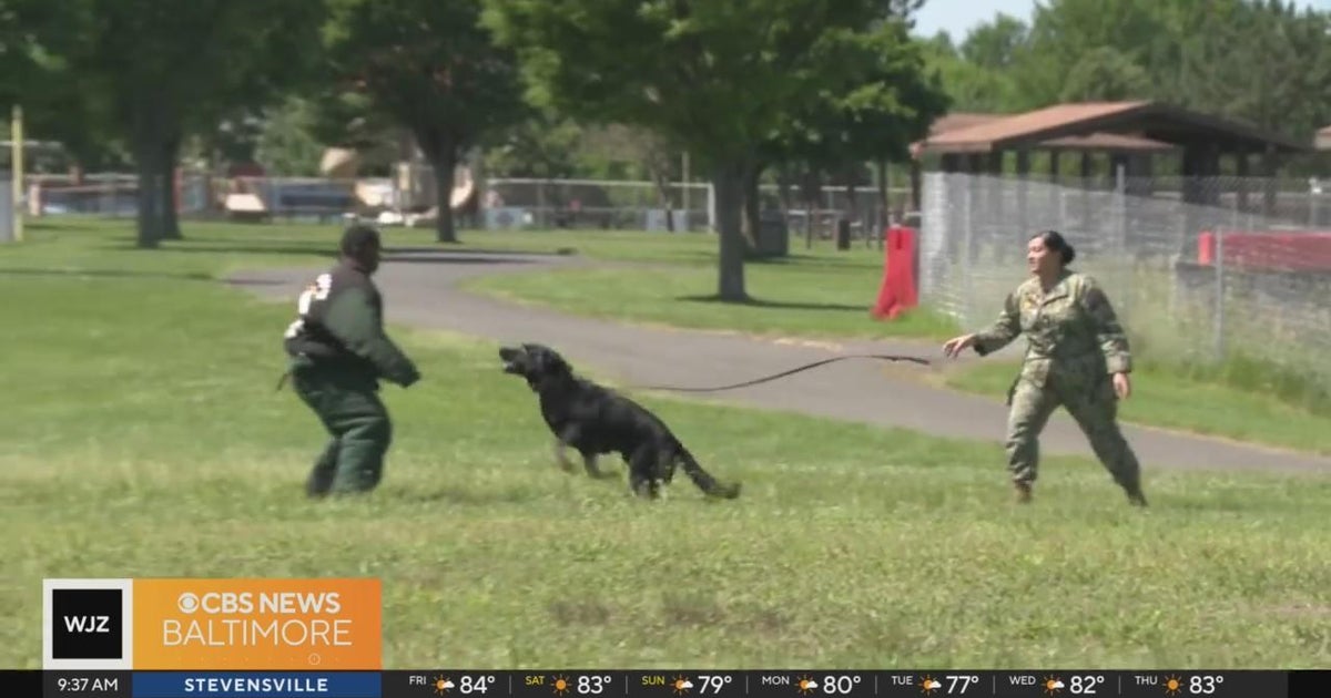 Furry defenders at Maryland Fleet Week: military working dogs are a ...