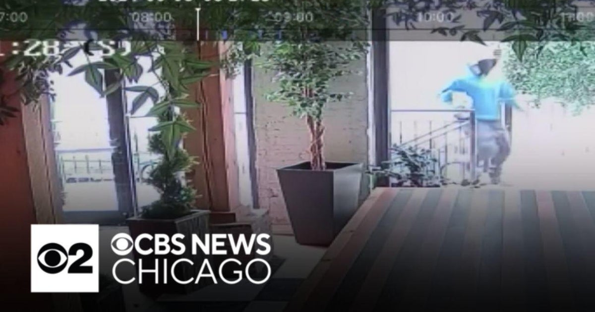 New video shows booze bandit in Chicago's River North district - CBS ...