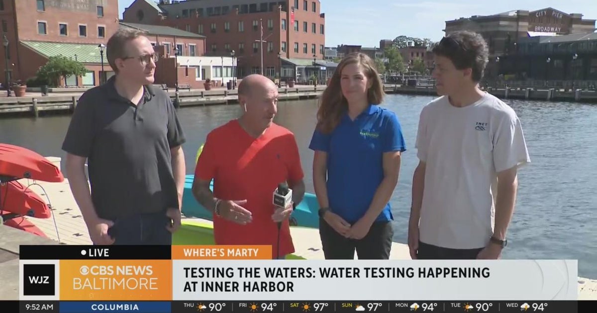 Want to swim in Baltimore's Inner Harbor? Here's how the water was ...