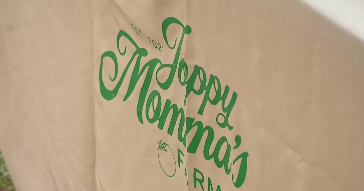 Dallas community celebrates Juneteenth with Joppy Mamma's Farm - CBS Texas