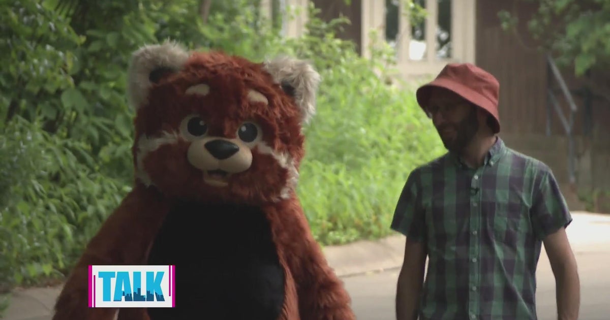 Boaz meets Pittsburgh's newest mascot, Ruby the Red Panda - CBS Pittsburgh