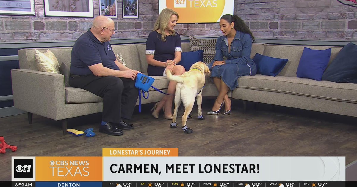 Newest CBS News Texas anchor Carmen Blackwell meets our Canine ...