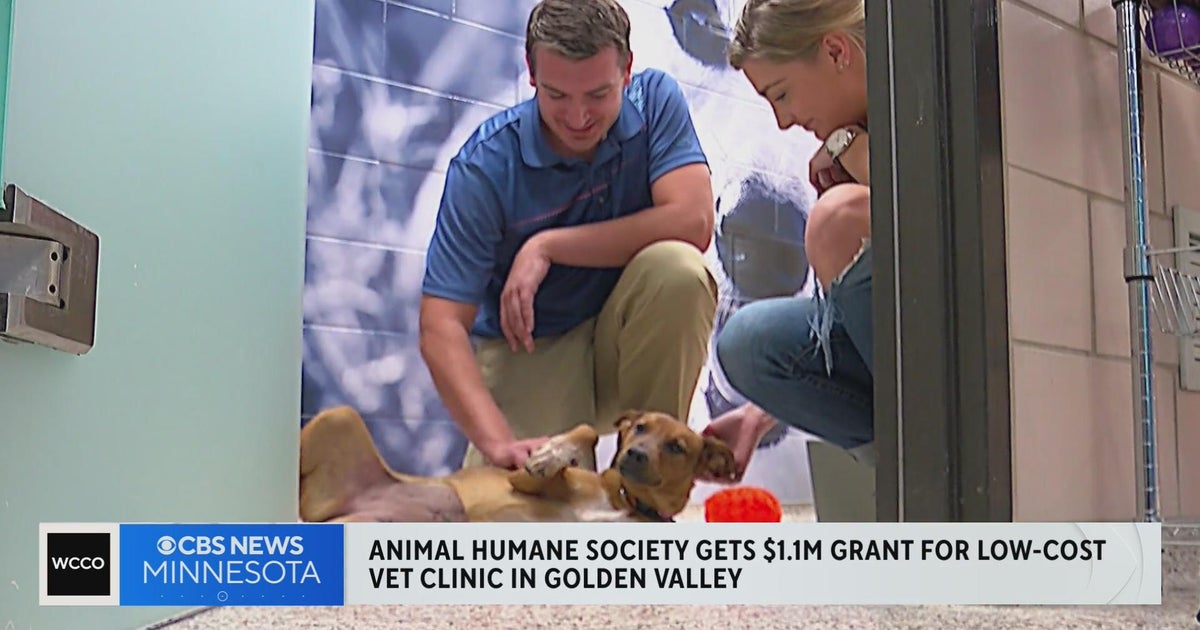 Animal Humane Society announces grant for its low-cost vet clinic - CBS ...