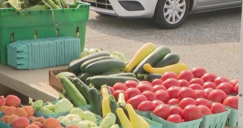 Baltimore County Farmers Market selling fresh produce at the Maryland ...