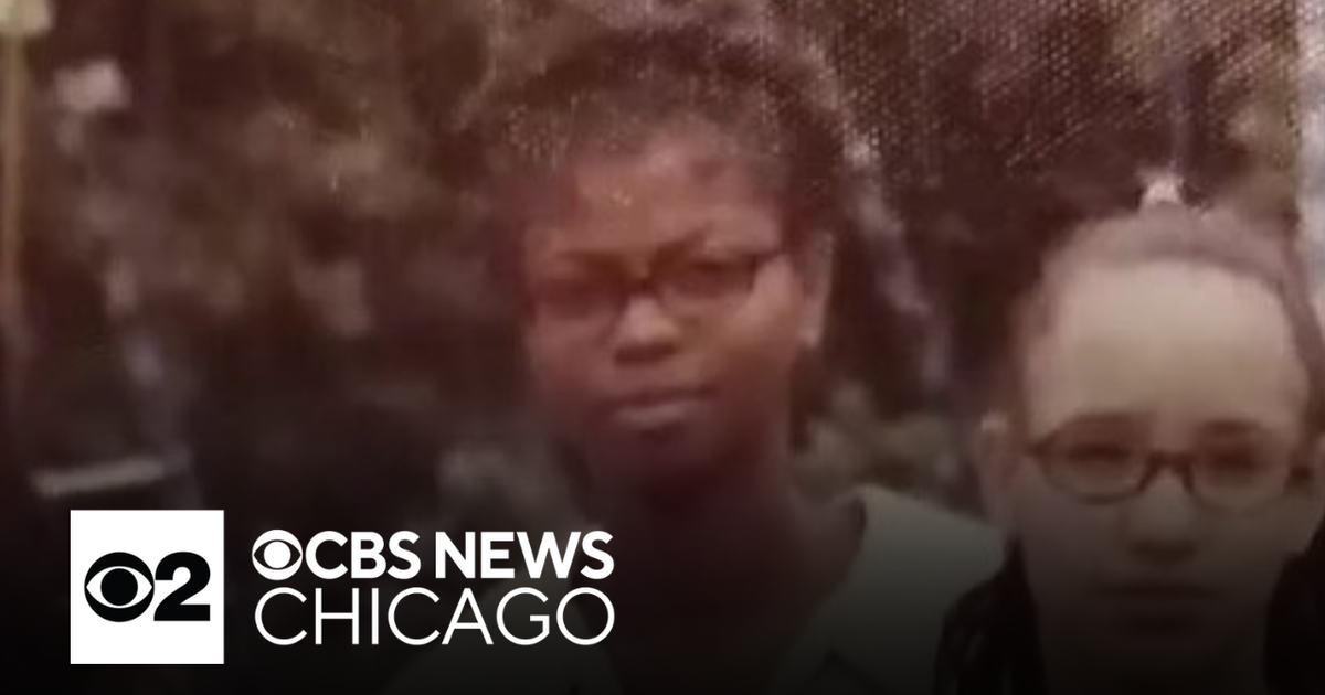 She disappeared almost 50 years ago. An Illinois cold case victim ...