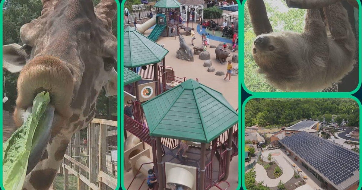 Elmwood Park Zoo celebrates 100th birthday with anniversary festivities ...