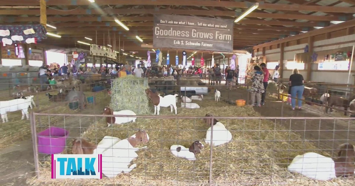 What you can expect at the Big Butler Fair - CBS Pittsburgh