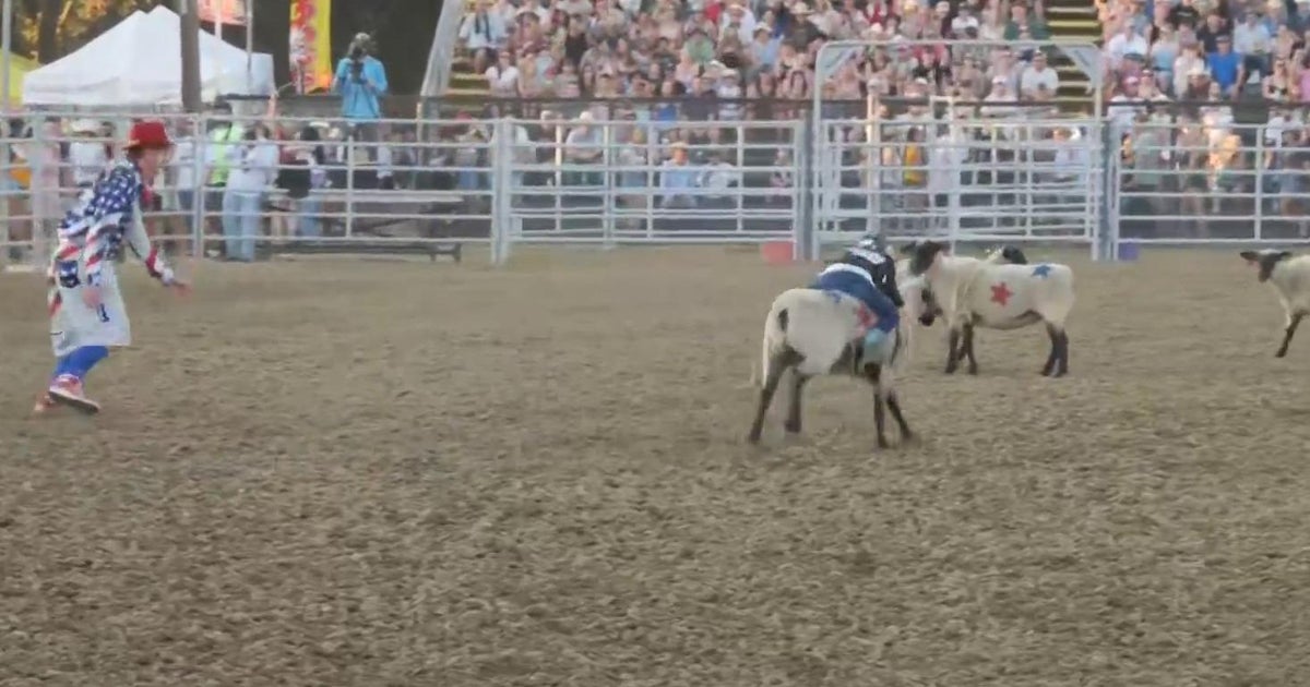 Folsom Pro Rodeo kicks off despite high heat - CBS Sacramento