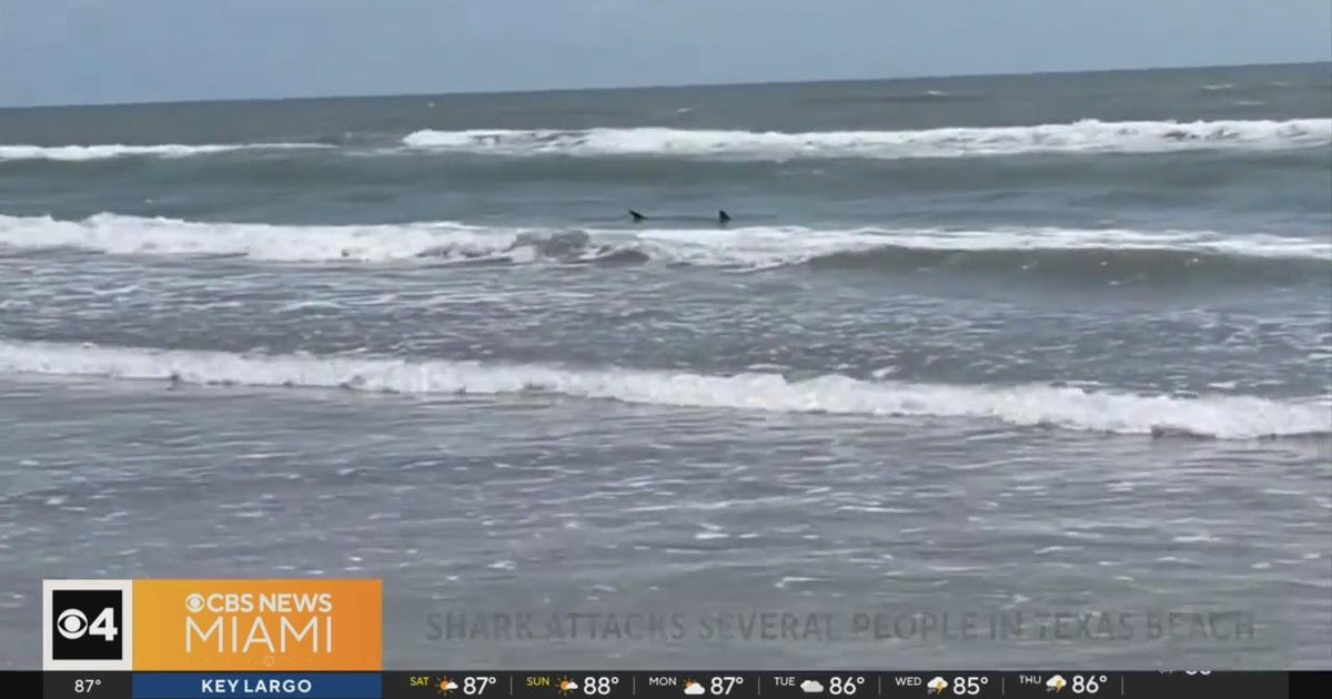 Caught on camera: Several injured in shark attacks at Florida and Texas ...