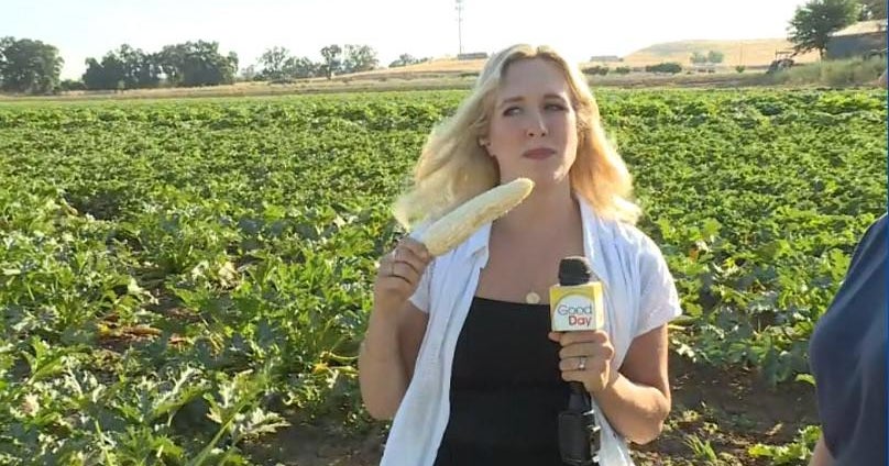 It's corn season, so go corn picking! - Good Day Sacramento