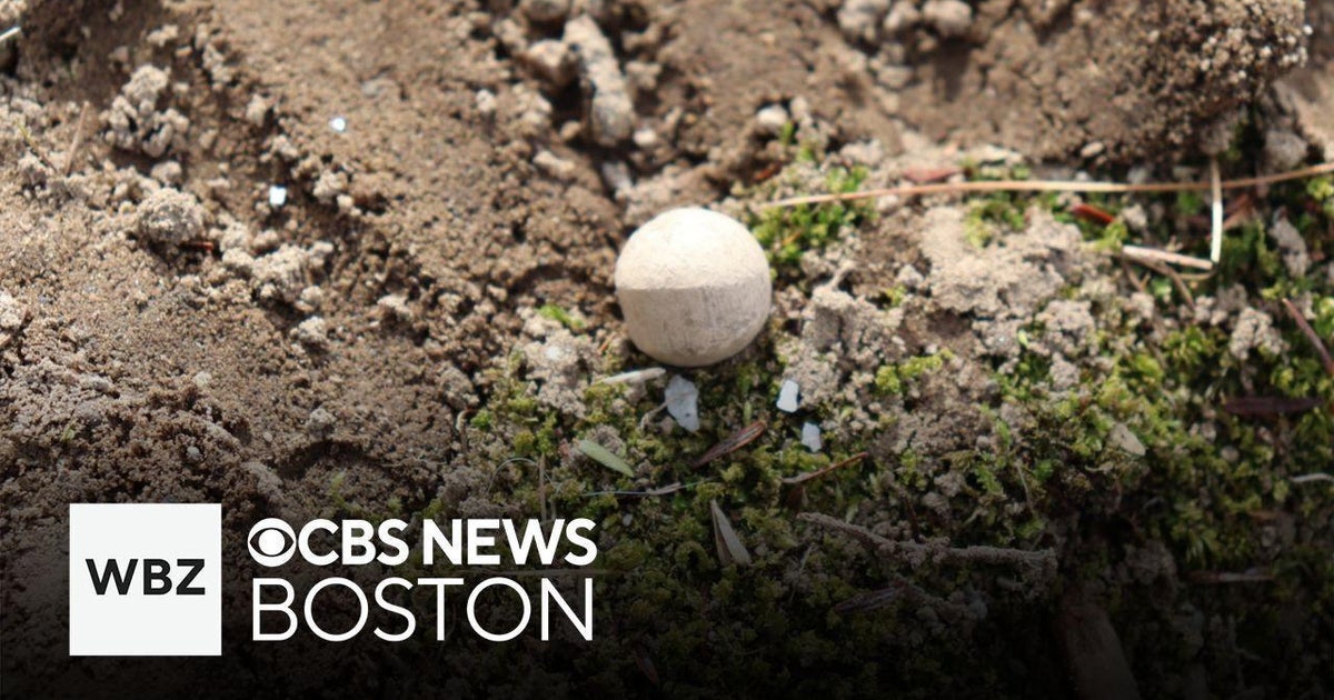Musket balls from "Shot Heard Round the World" found in Massachusetts ...