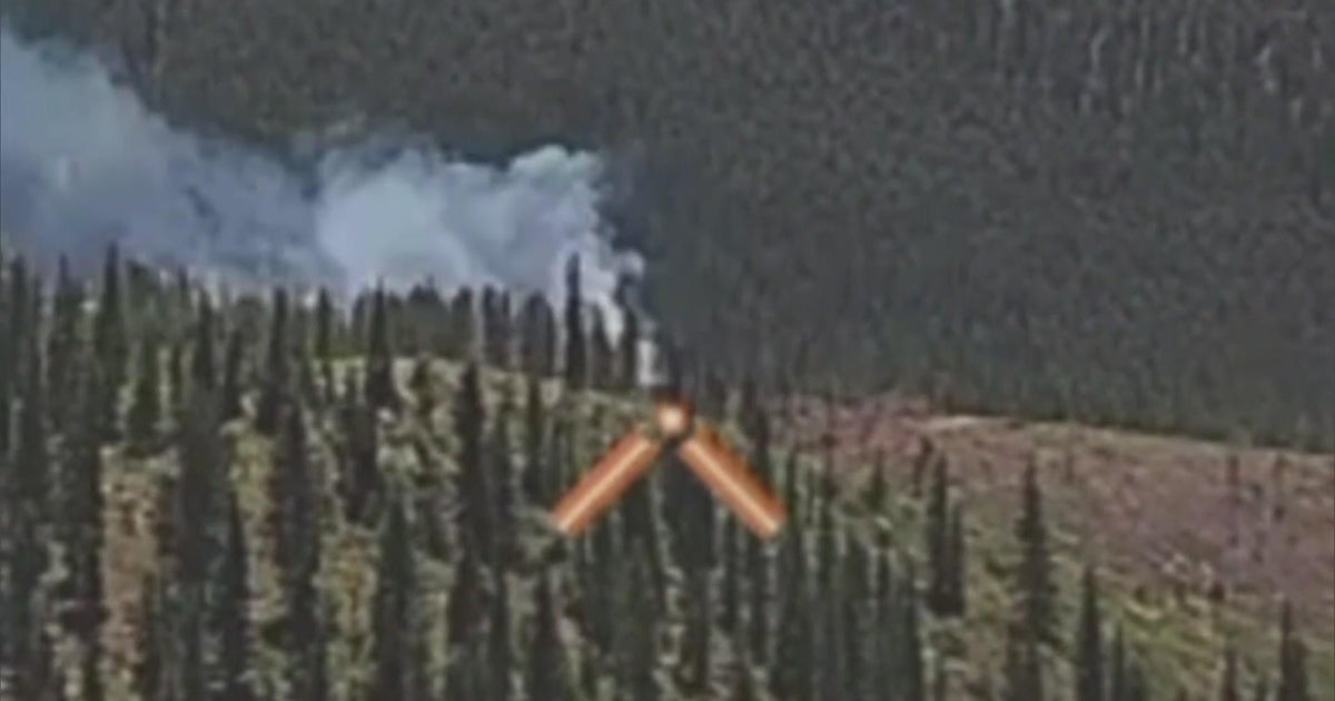 AI-powered wildfire-spotting cameras dispatch firefighters to ...