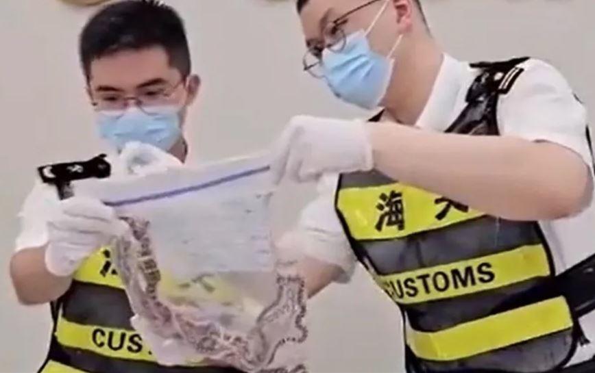 Man caught smuggling 100 live snakes in his pants, Chinese officials ...
