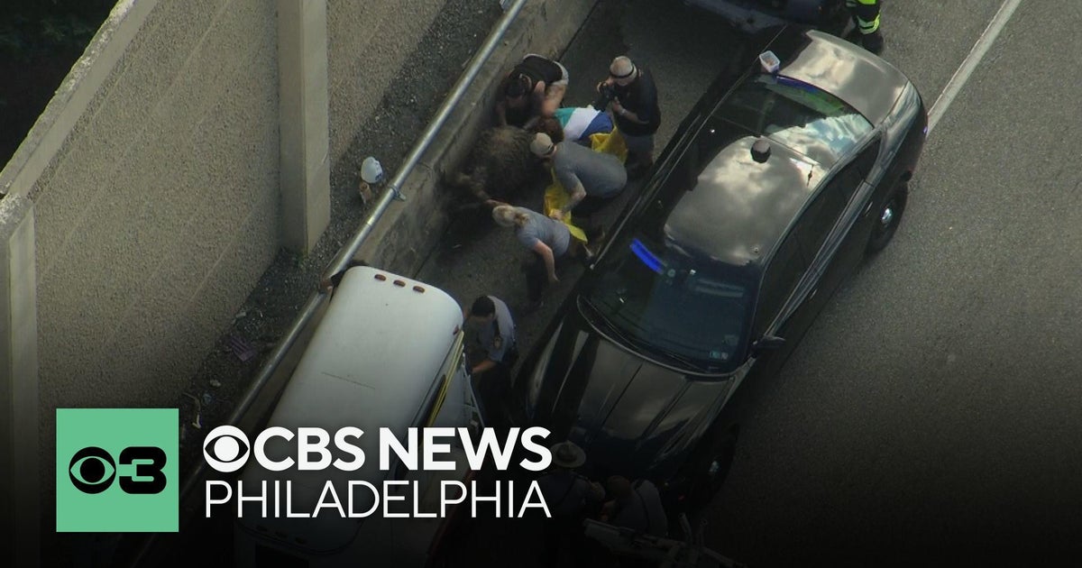 Pennsylvania state troopers, bystanders use tush push to capture "ham ...