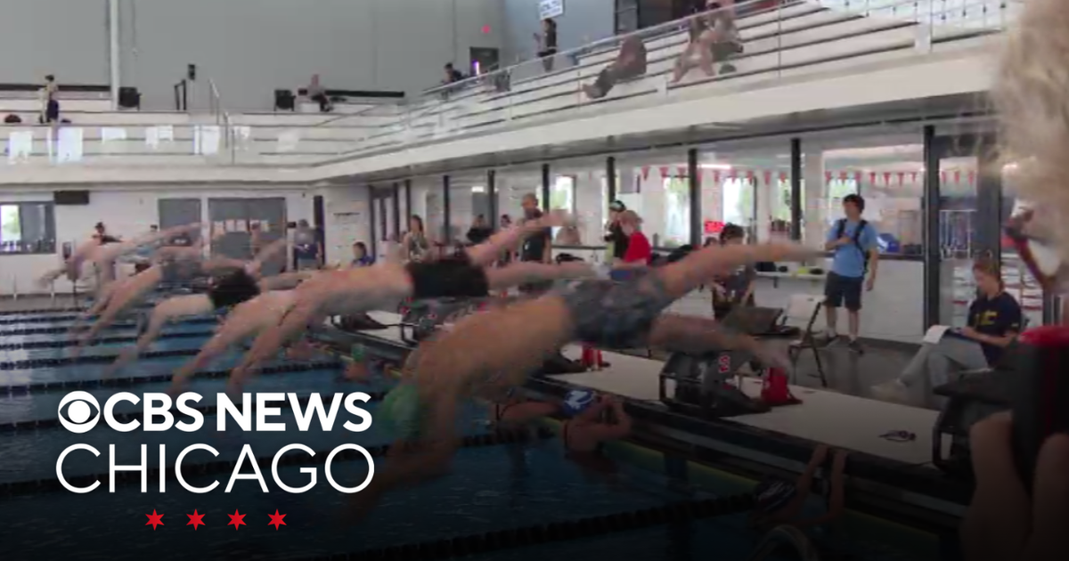 Hundreds of elite swimmers compete in suburban Chicago races - CBS Chicago
