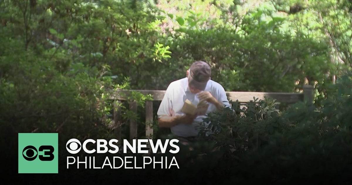With air quality alert in effect in Philadelphia, what you need to know ...