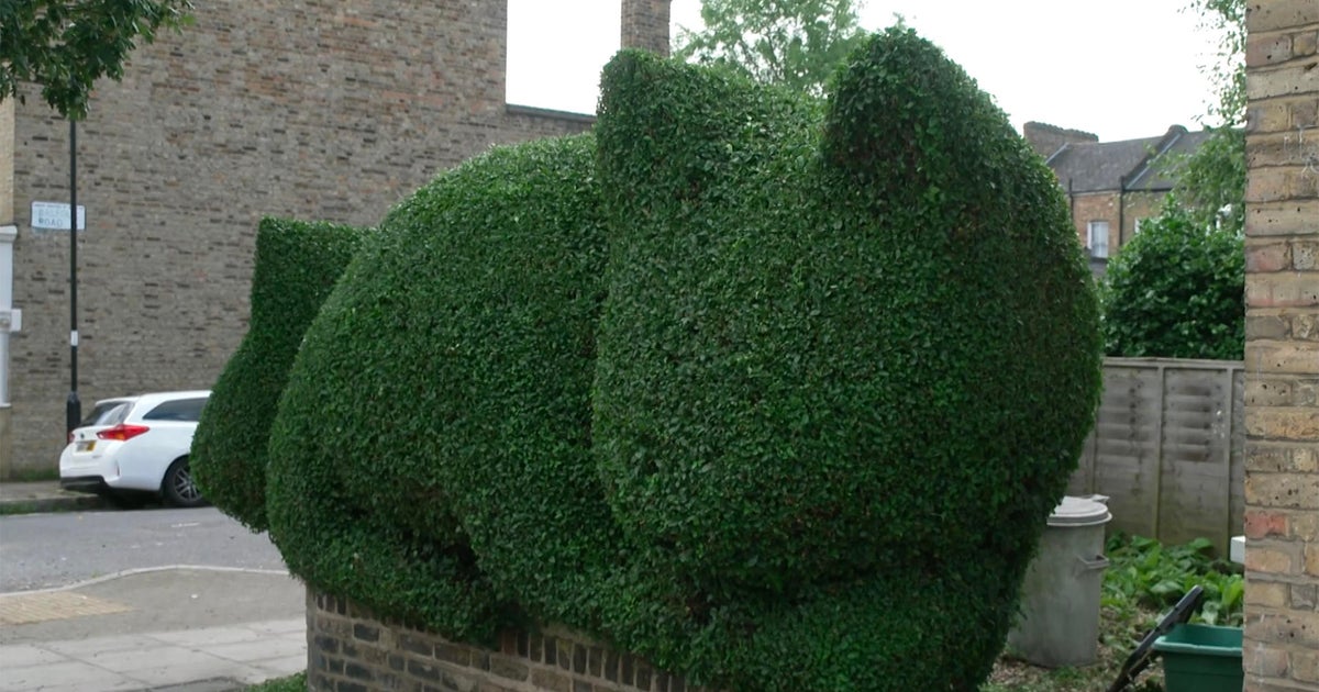 Meet London's hedge art hero - CBS News