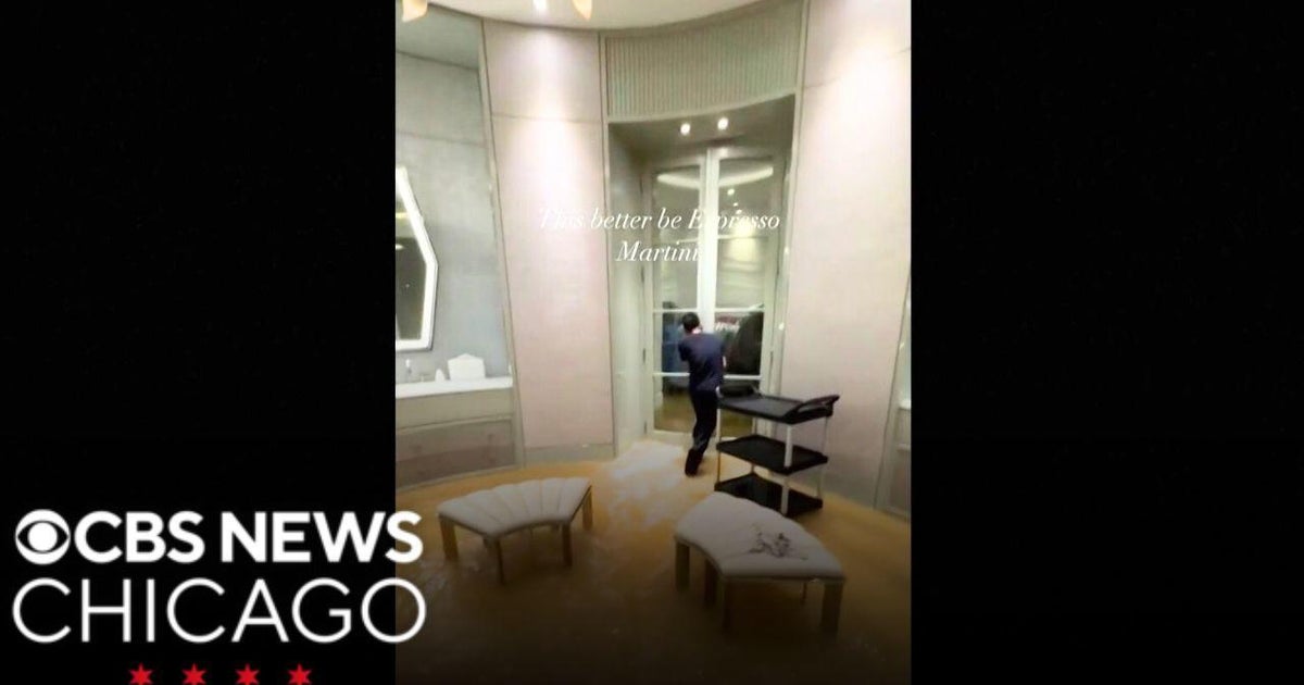 Drake's got lake-like flooding in his Canadian home - CBS Chicago