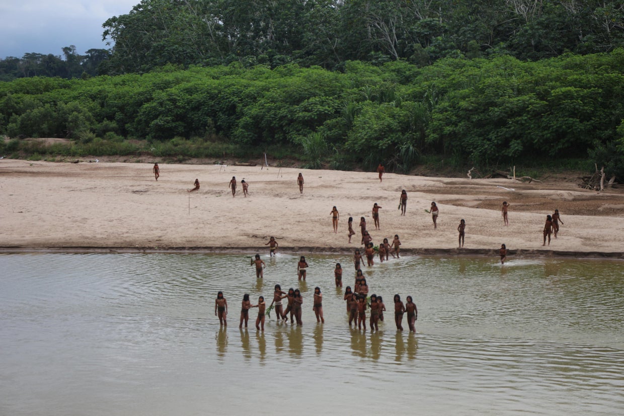 Half of uncontacted Indigenous tribes "could be wiped out" in 10 years ...