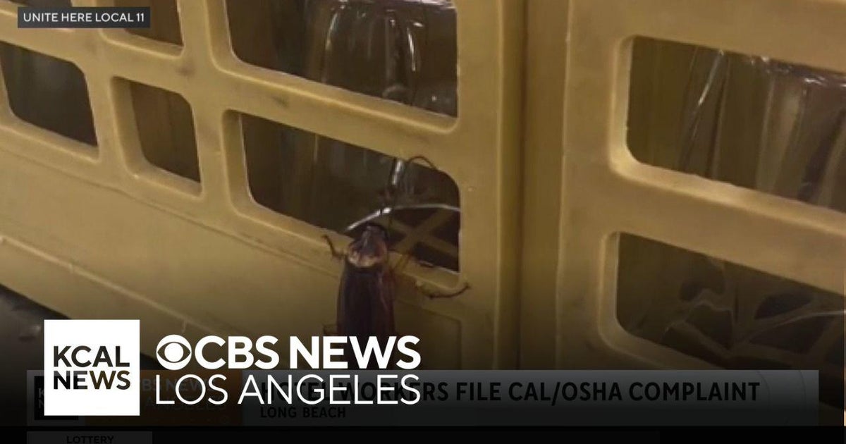 Westin hotel workers in Long Beach protest unsanitary conditions, other ...