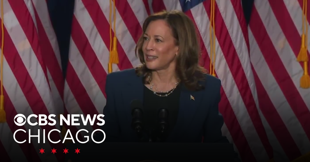 DNC rules committee meets as Harris moves to secure nomination - CBS ...