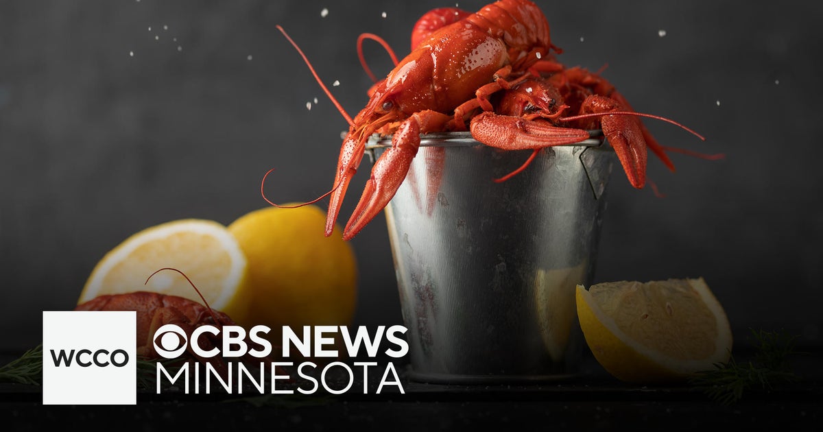 All-you-can-eat crayfish contest this weekend - CBS Minnesota