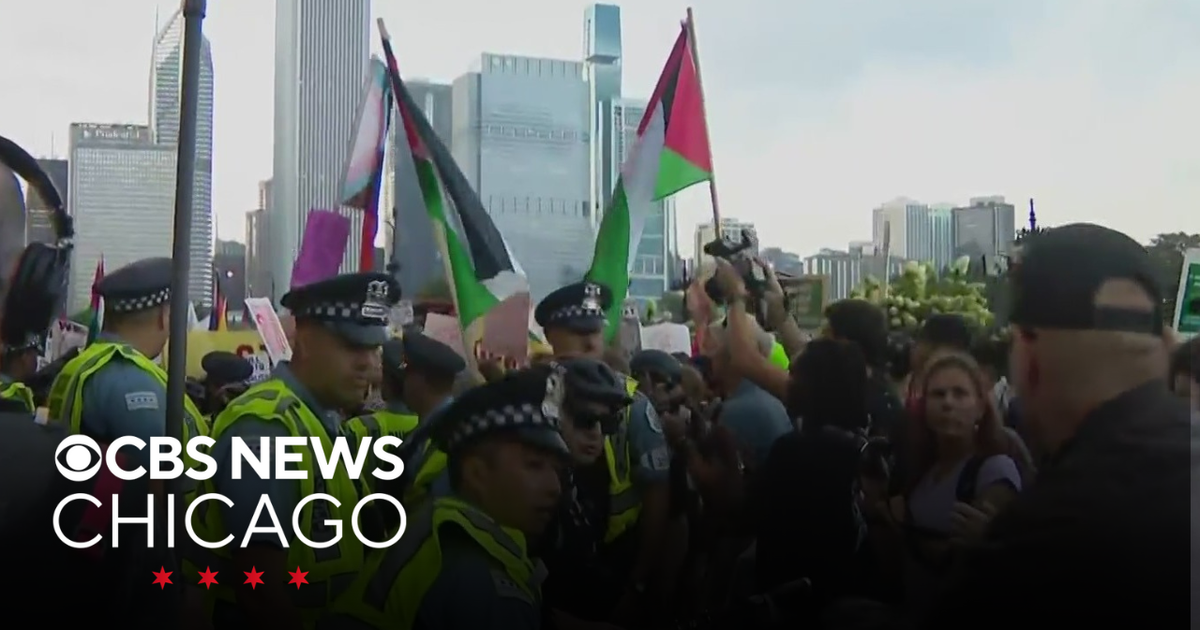 Protest begin in downtown Chicago ahead of DNC - CBS Chicago