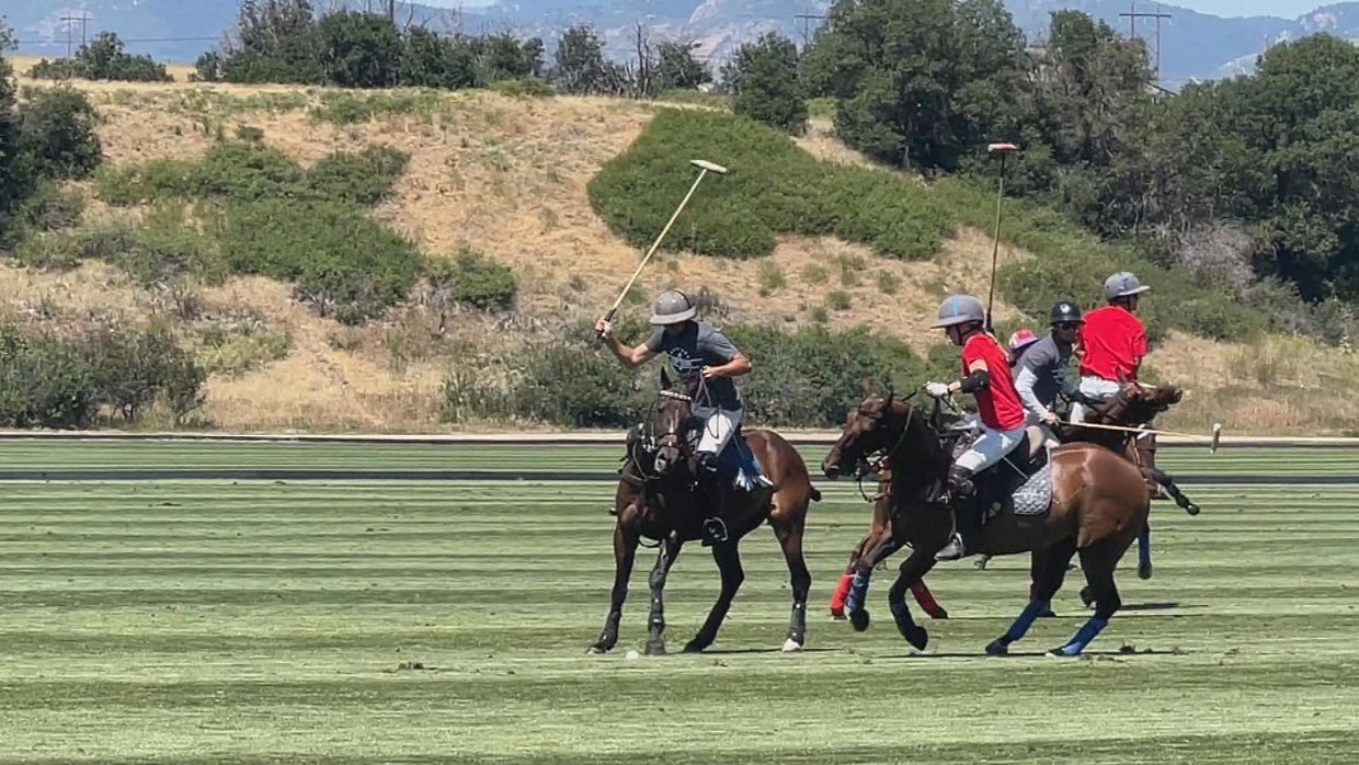 Denver Polo Club wants to make "old-world sport" accessible to ...