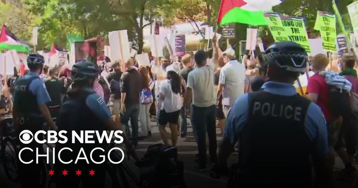 Pro-Palestinian protest march advances near DNC - CBS Chicago