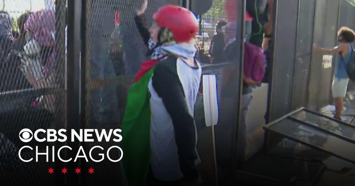 Security breach at DNC prompts quick police response - CBS Chicago