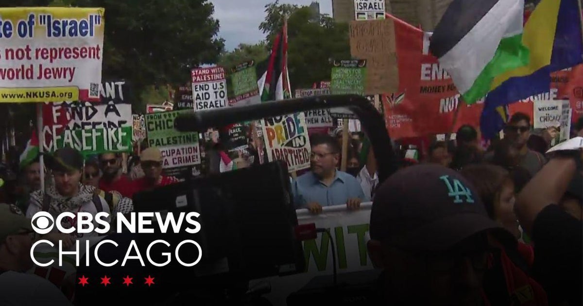 Crowd of close to 3,000 marches in protest during first night of DNC ...