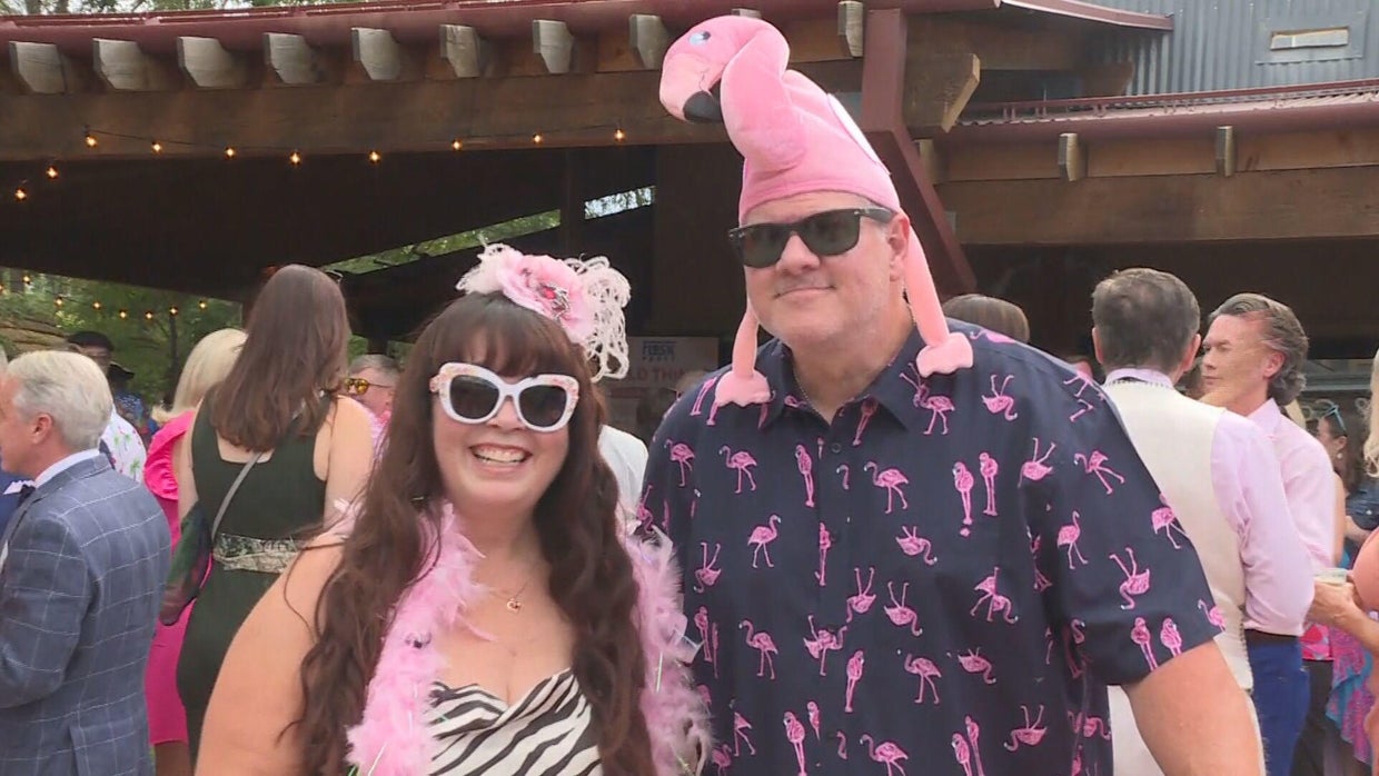 Denver Zoo Conservation Alliance hosts a party with the animals - CBS ...