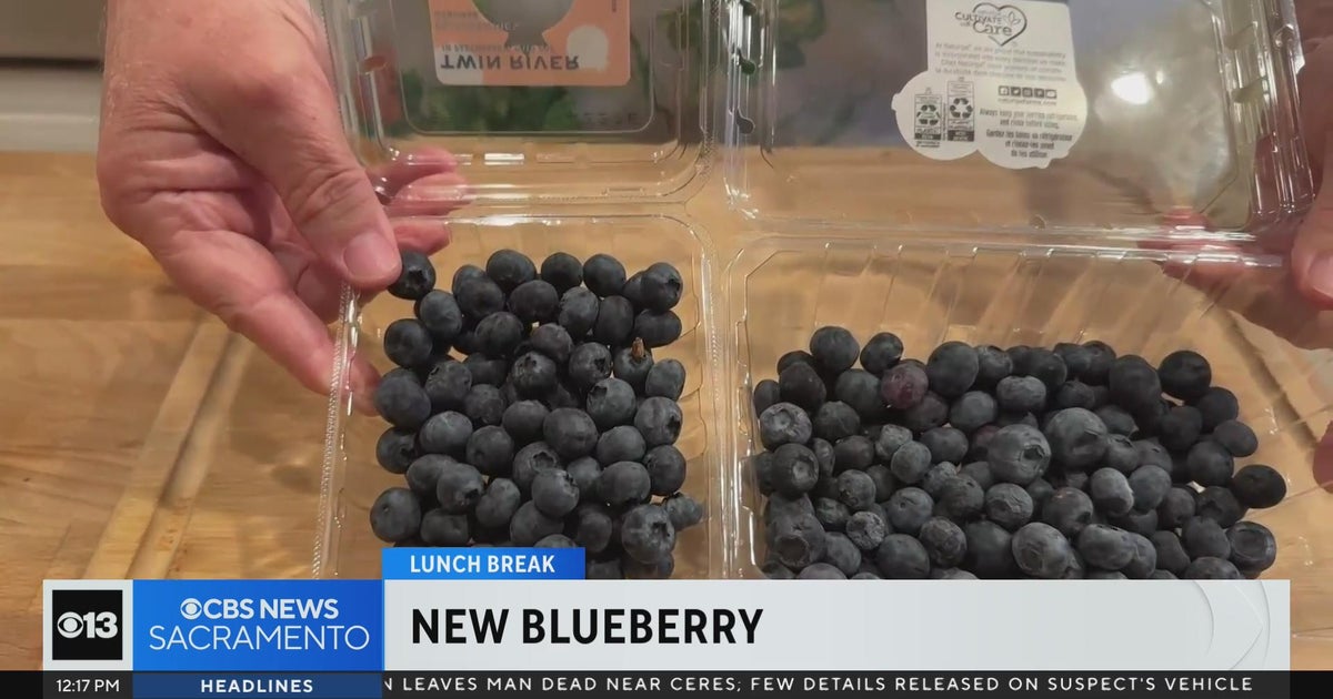 New blueberry | Lunch Break with Michael Marks - CBS Sacramento