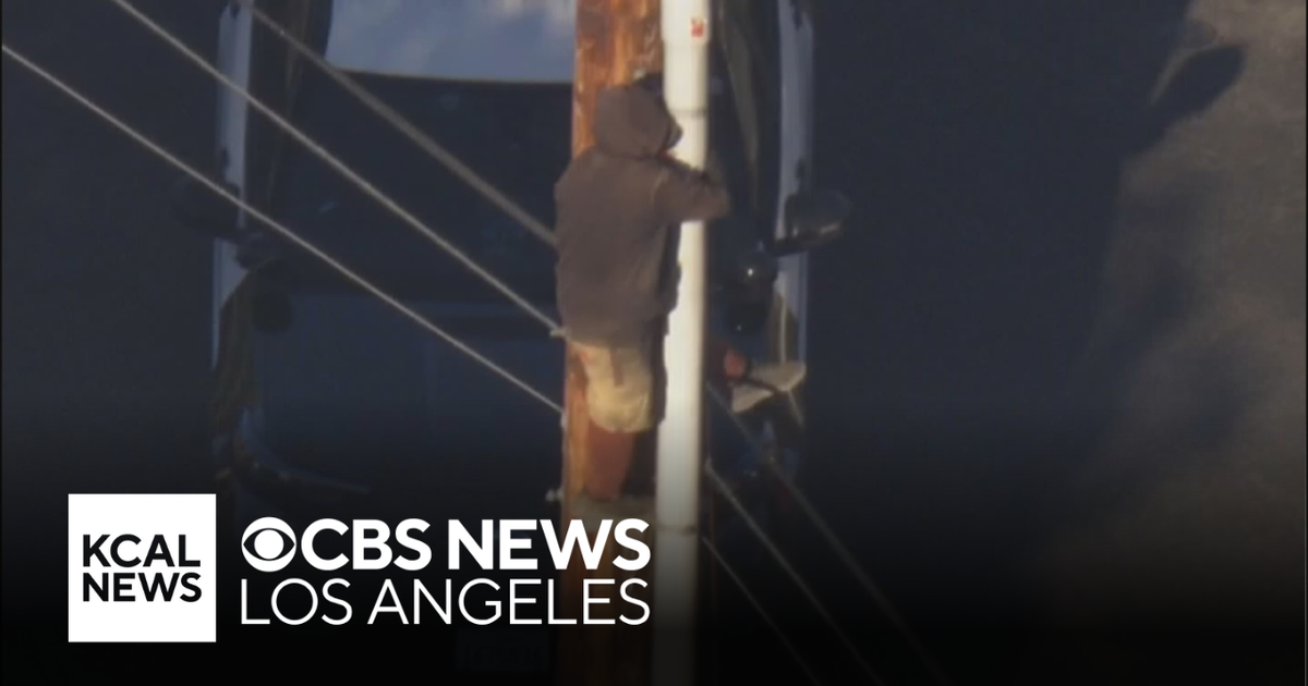 Man climbs pole in Sylmar and causes LADWP to cut off power to 1,200 ...