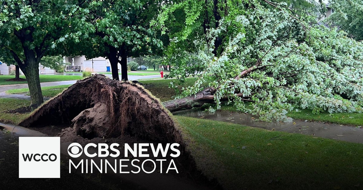 Severe storms uproot trees, down power lines in Minnesota - CBS Minnesota