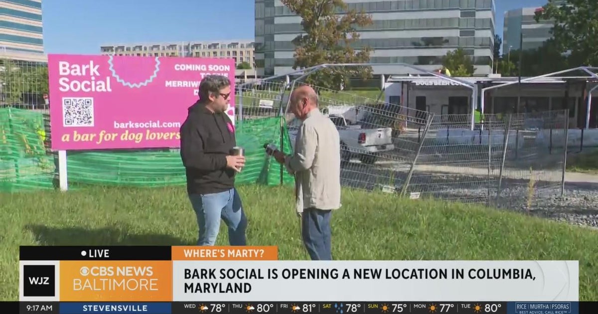 Bark Social is set to open a new location in Columbia - CBS Baltimore