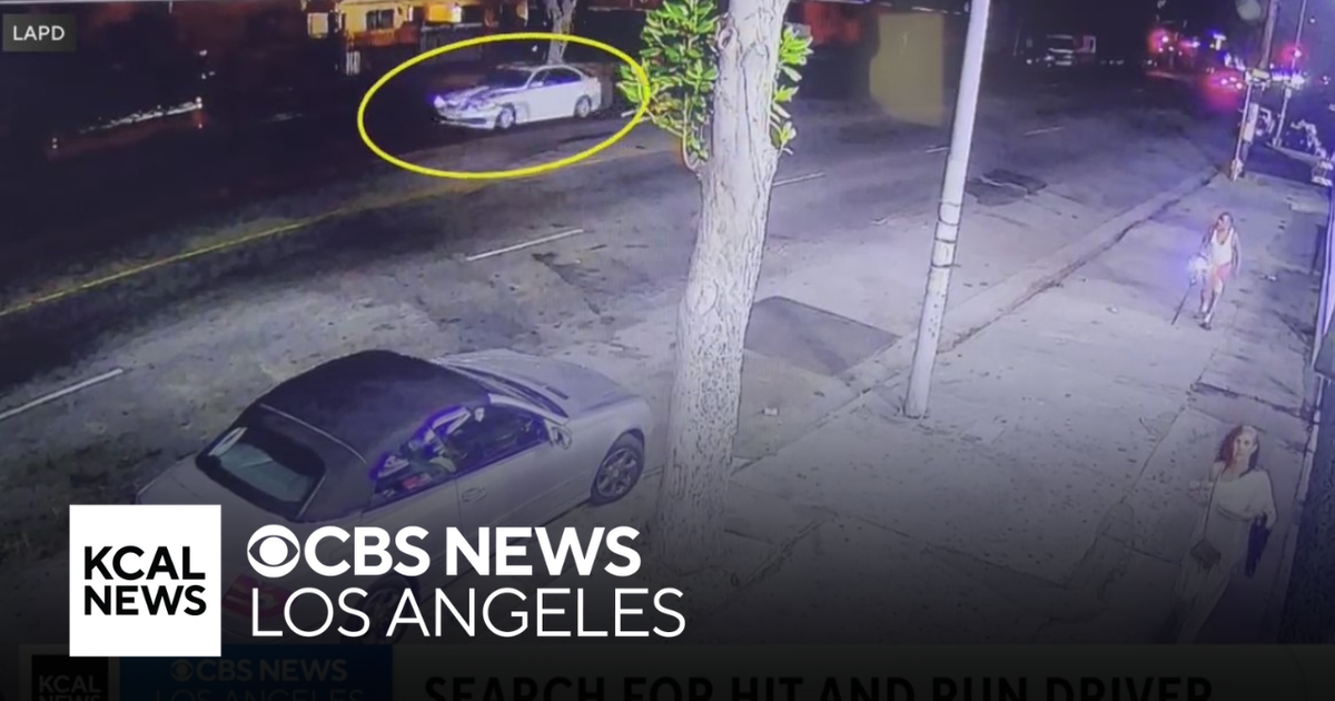 LAPD searching for hit-and-run driver who killed 43-year-old woman in South LA - CBS Los Angeles