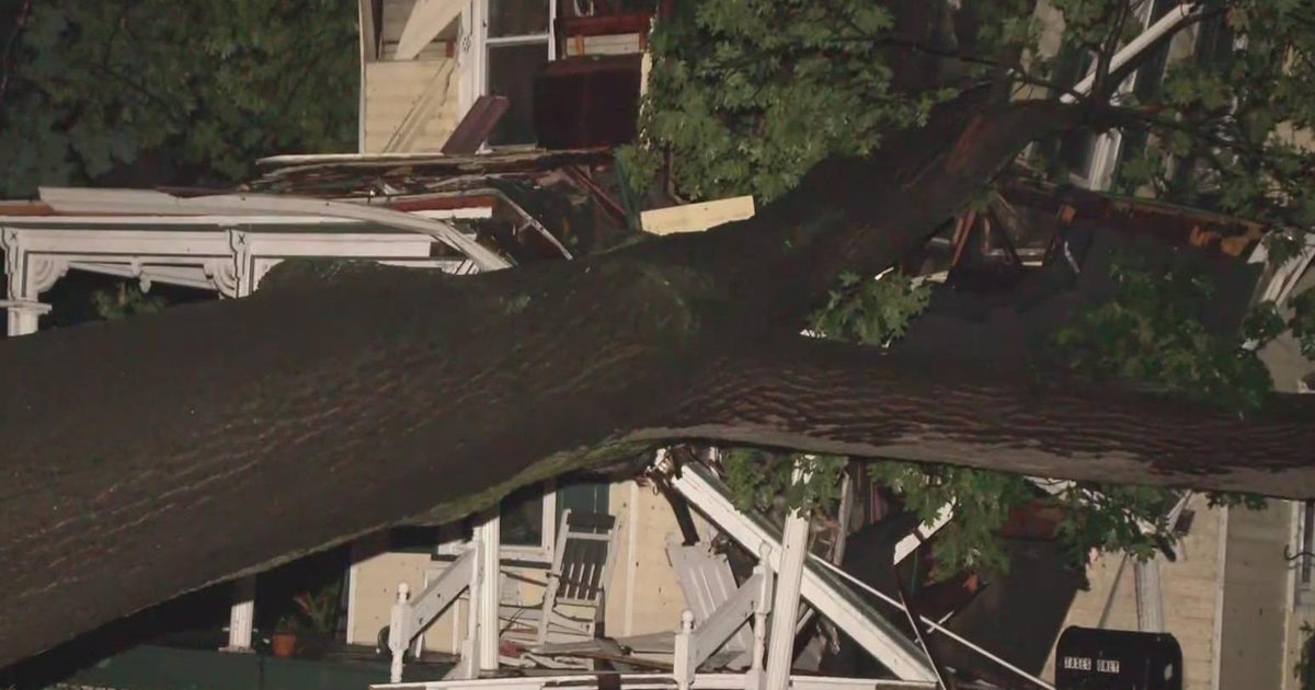 Severe weather causes massive tree to split home in half - CBS Pittsburgh