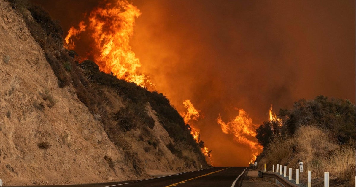 Line Fire explodes in size, only 3% contained - CBS News