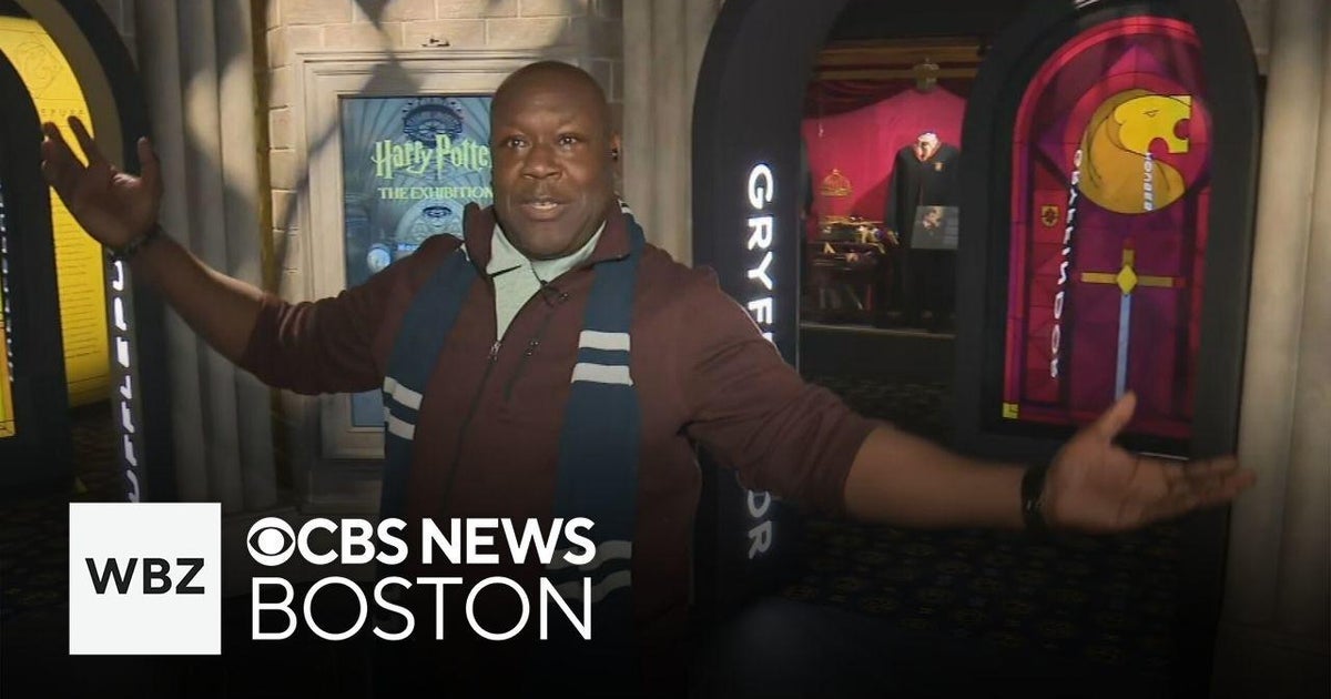 Harry Potter comes to life with interactive exhibit coming to ...