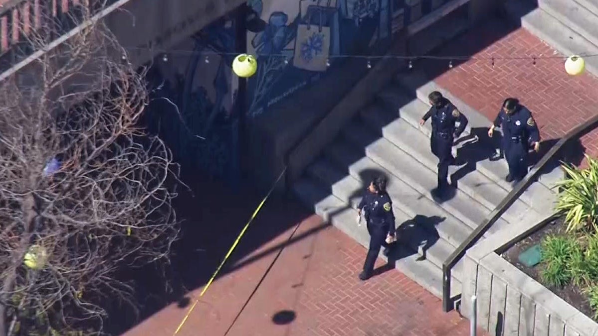 Police shooting at Powell Street BART Station in San Francisco injures ...