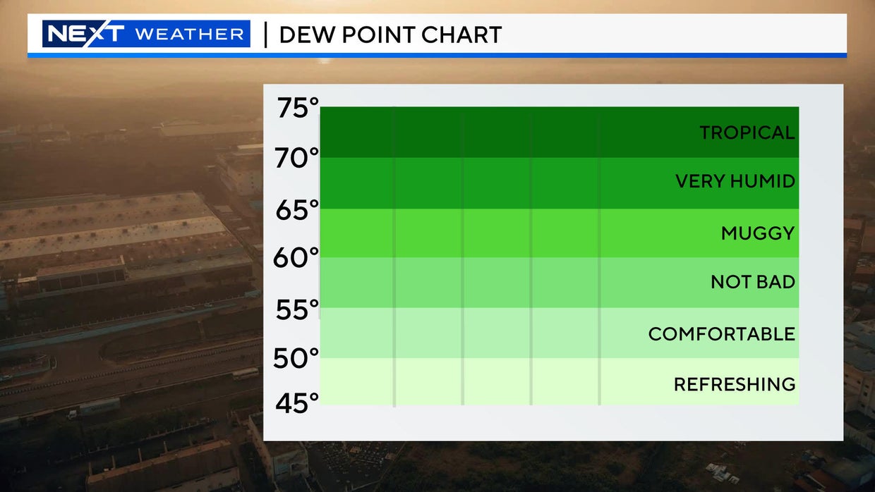 What is dew point? How it's different than humidity and a better ...