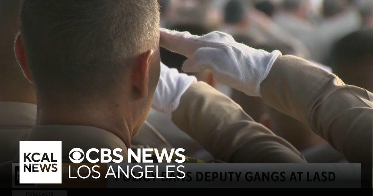 Deputy gangs in LASD have operated secretively "like the Mafia ...