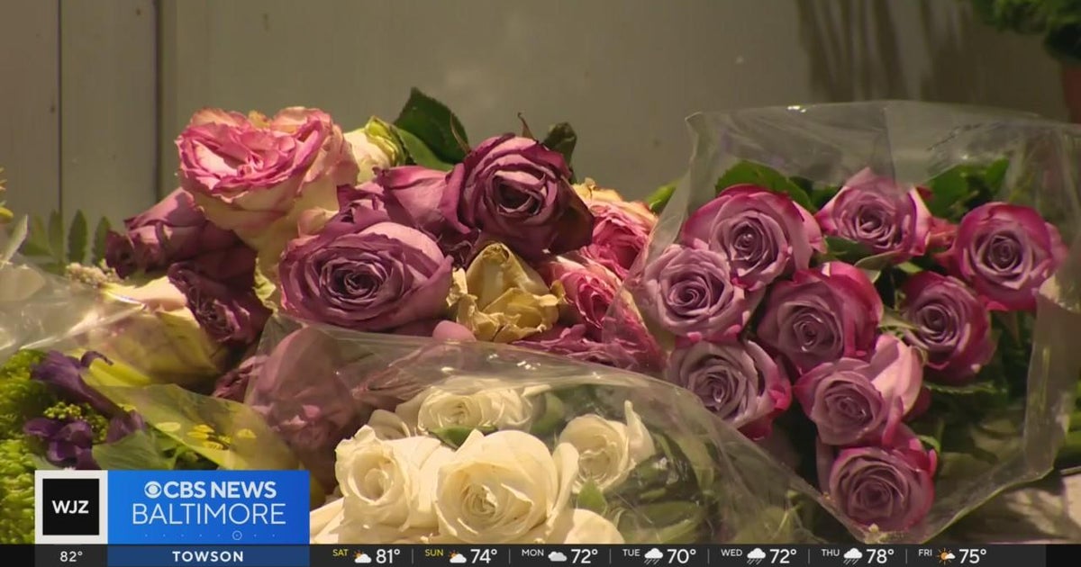 Joppatowne High School closes in honor of Warren Grant's funeral ...