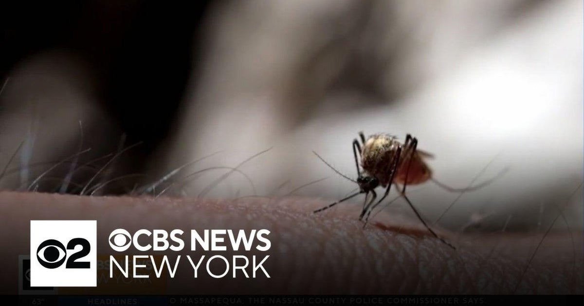 New York confirms first human EEE case since 2015 - CBS New York