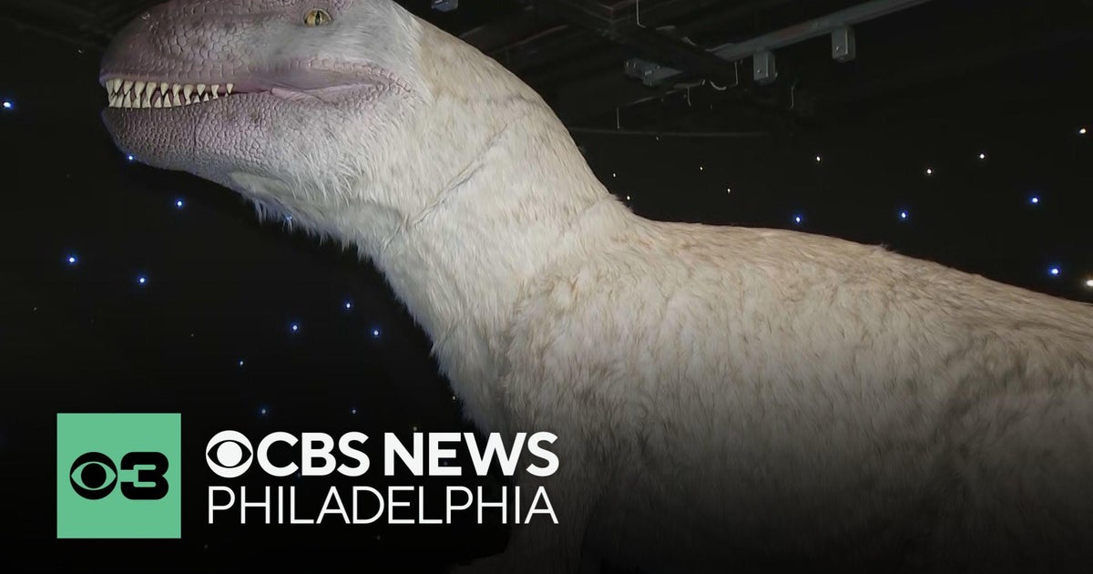 "Ice Dinosaurs" exhibit shows how even relatives of the T-Rex had ...