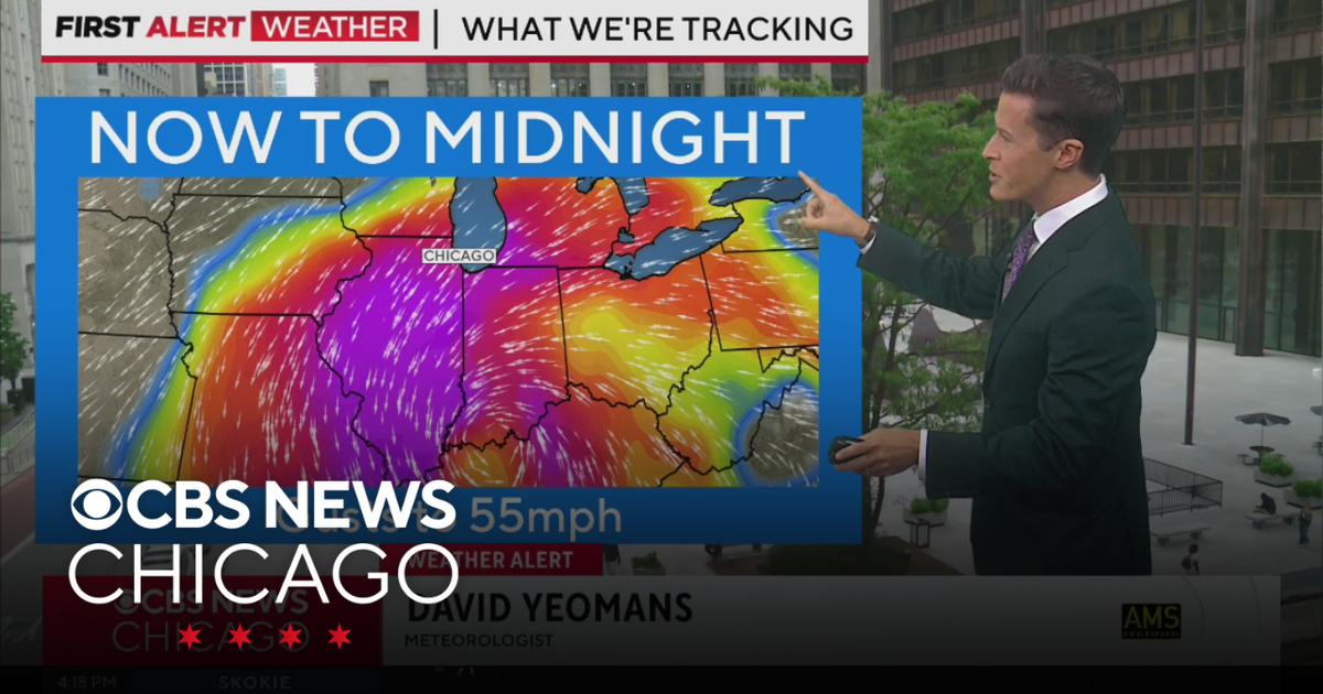 Helene remnants bring strong winds to Chicago area - CBS Chicago