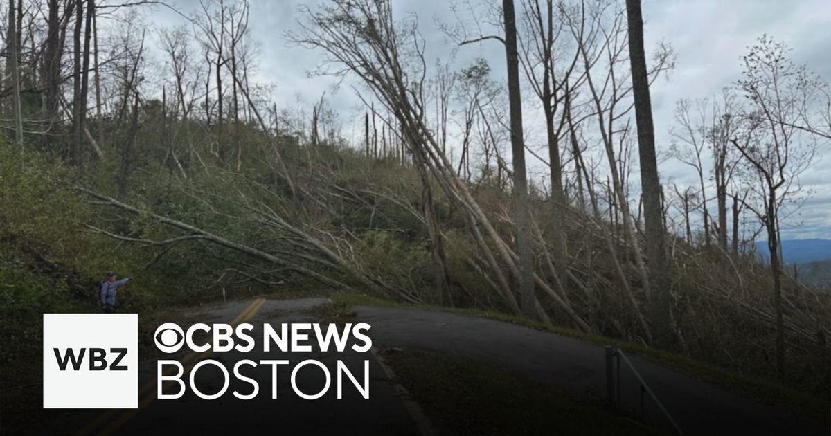 Couple who helped Mass. bachelorette party after Hurricane Helene ...