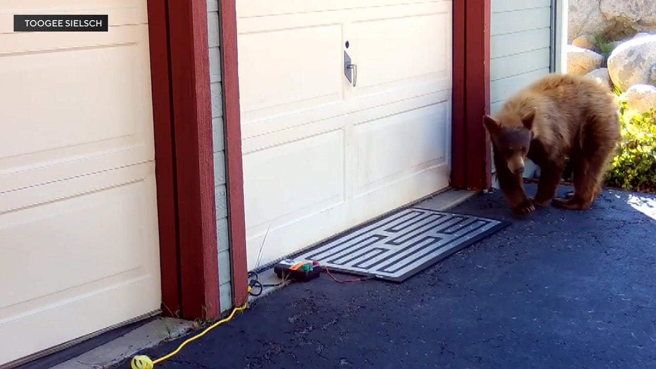 South Lake Tahoe news - Today’s latest updates - CBS Sacramento